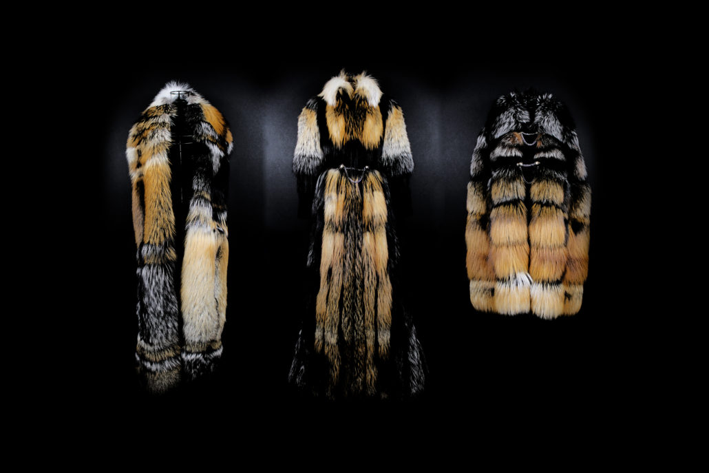 Natural Fox - Quentin Veron